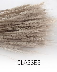 Alma Yoga - Jacksonville, Florida - Sign Up for Classes